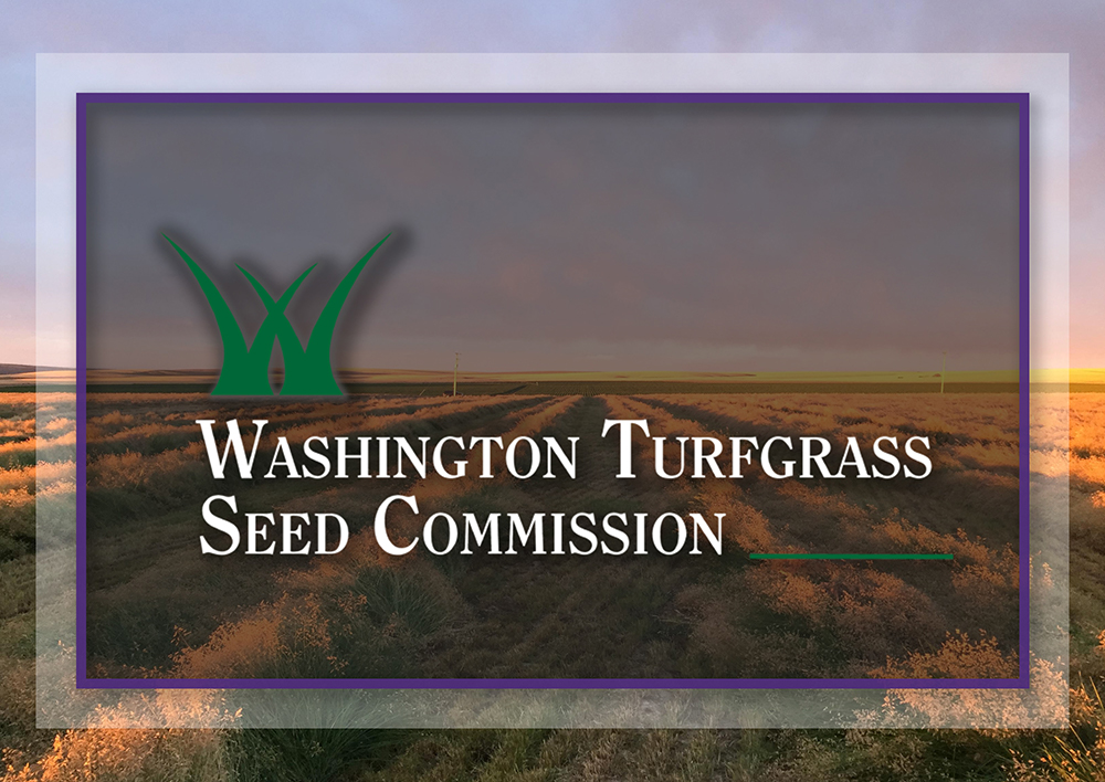Washington Turfgrass Seed Commission - What's Your Avocado